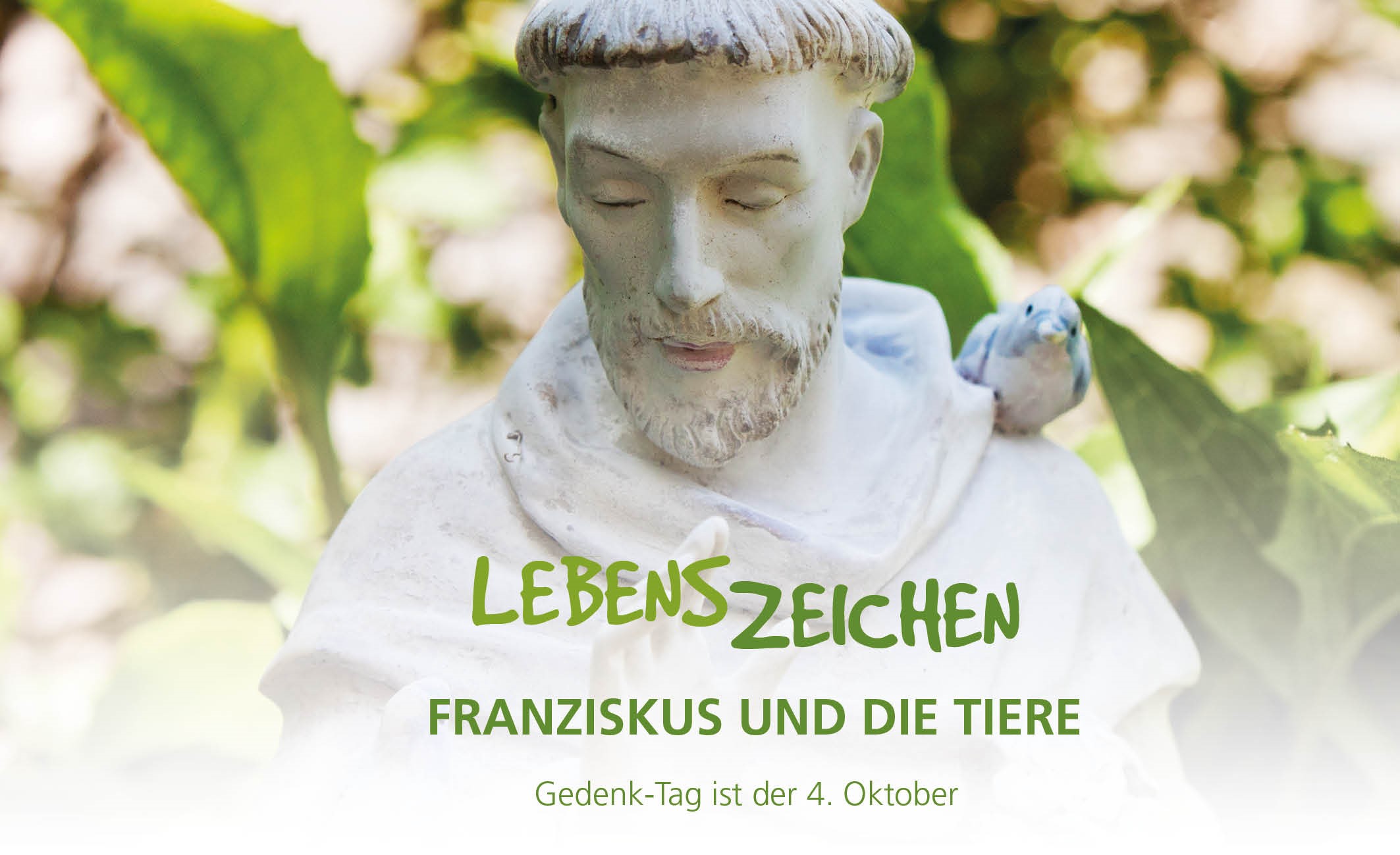 Lebenszeichen: Franziskus und die Tiere